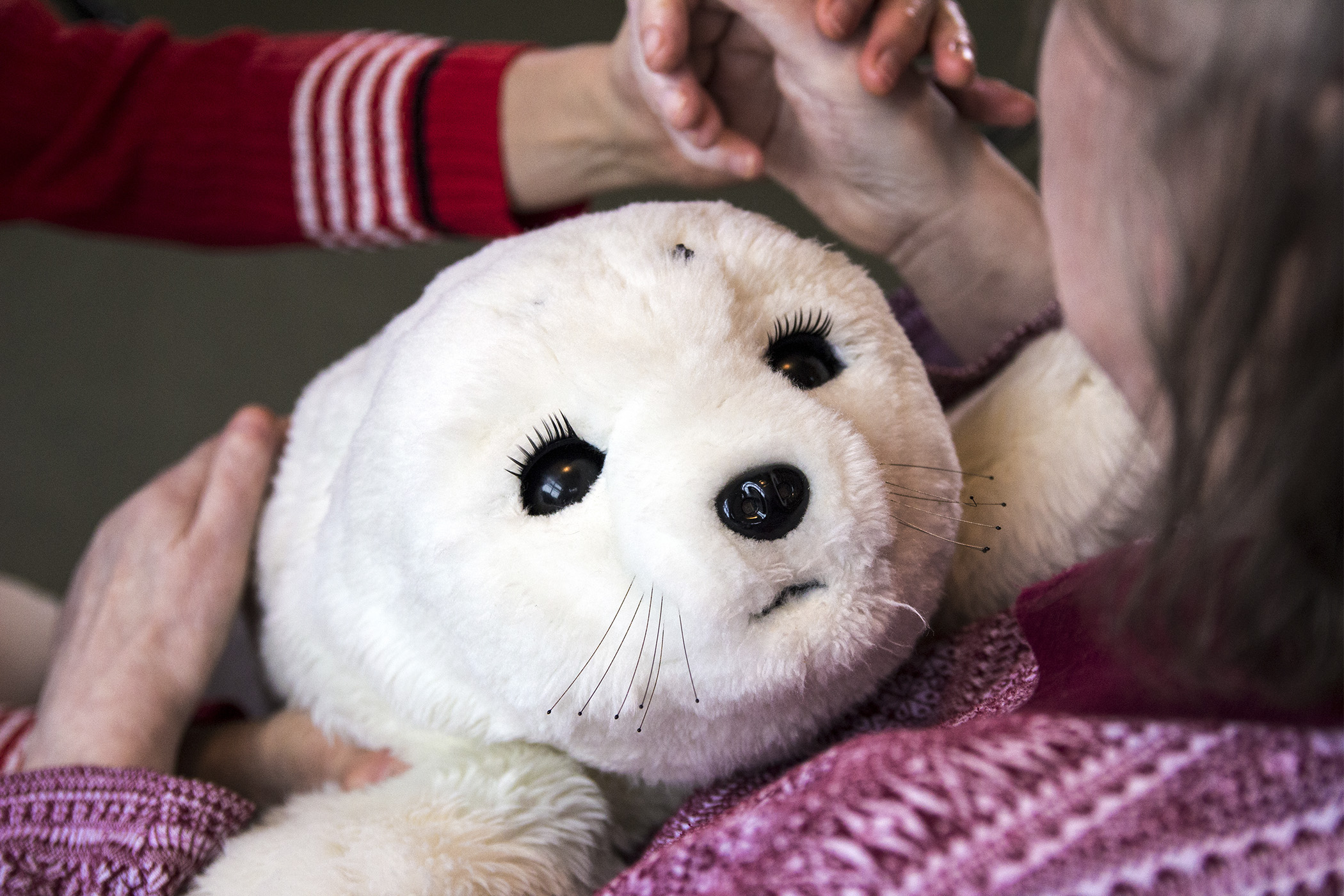 New Film on Social Robots - Affective & Cognitive Institute